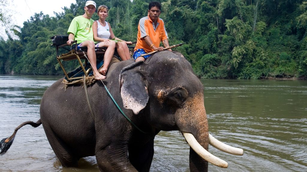 Watch These Elephants Enjoy Their First Swim Of The…