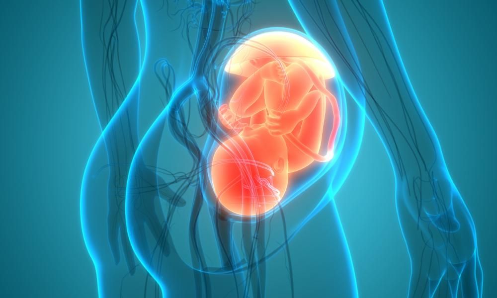 Gene genius: how the placenta project is unlocking the…