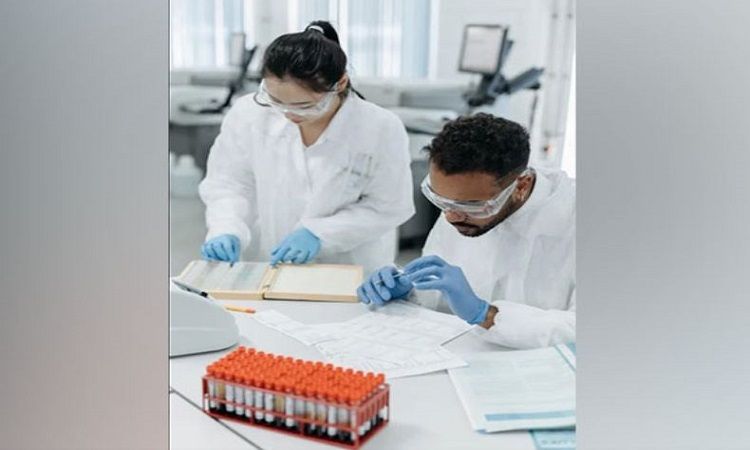 Researchers Shed New Insight Into Cellular Process…