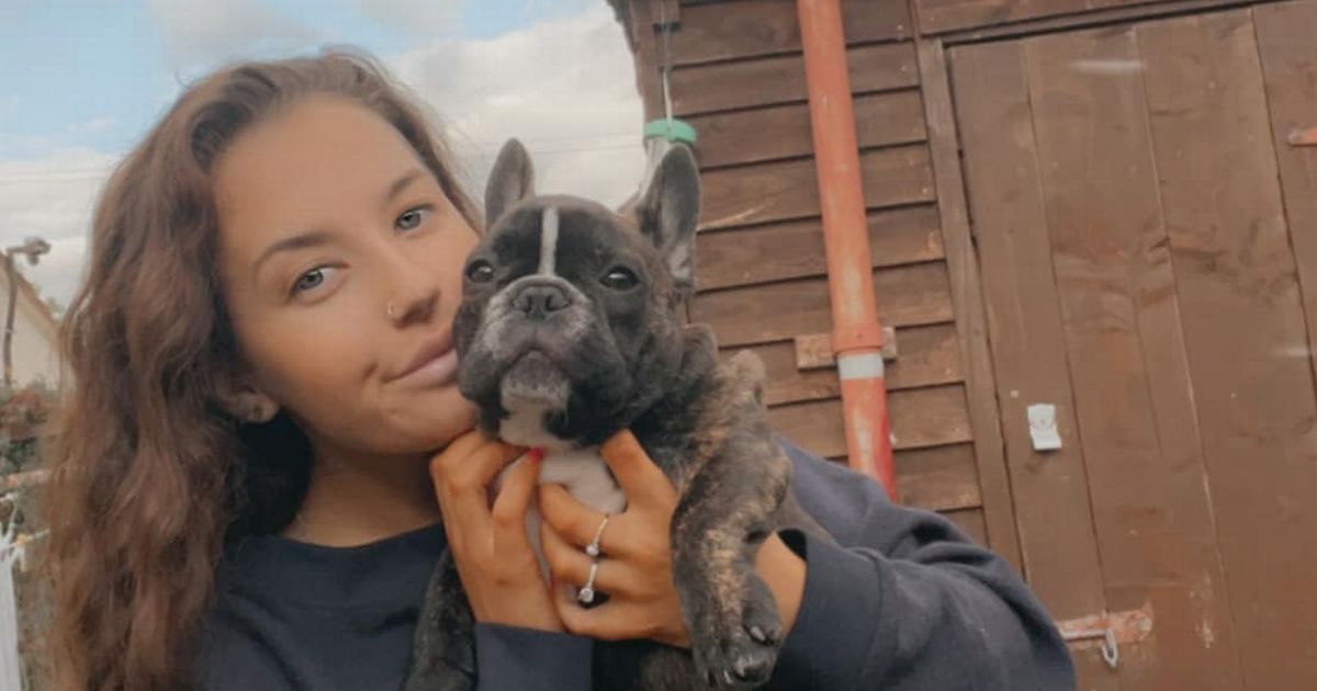 Fatal heatstroke warning as Co Tyrone dog dies while…