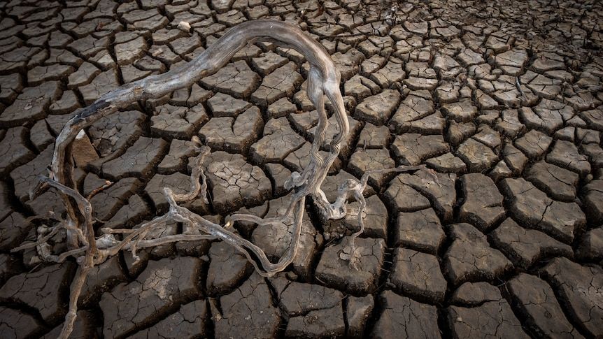 BoM declares El Niño alert, signaling higher chance of…