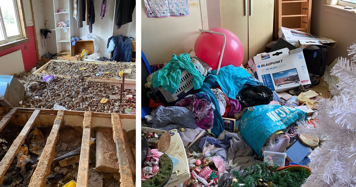 'Worst ever' animal neglect in horror house where…