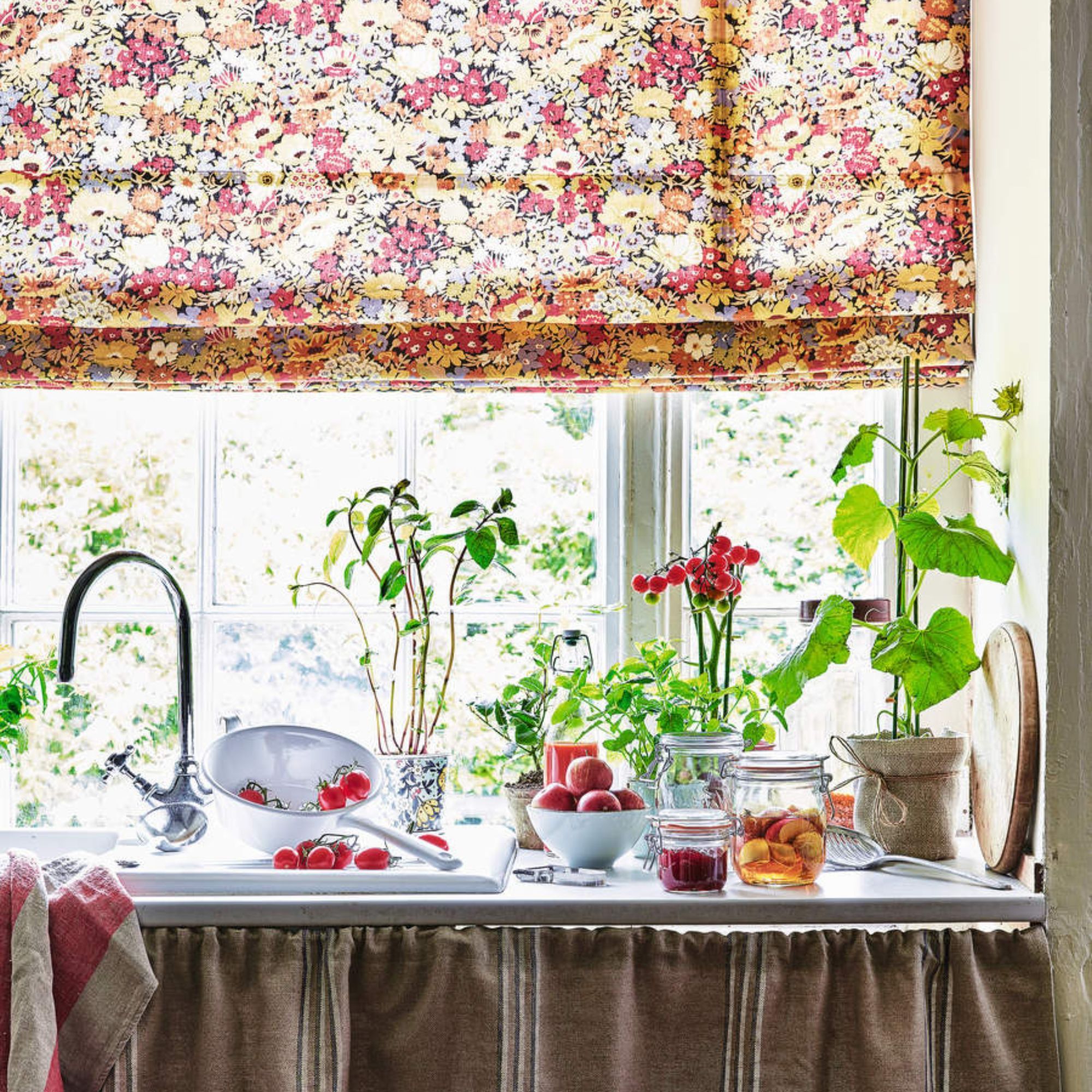 Yes, you can grow raspberry canes in pots – how to get…