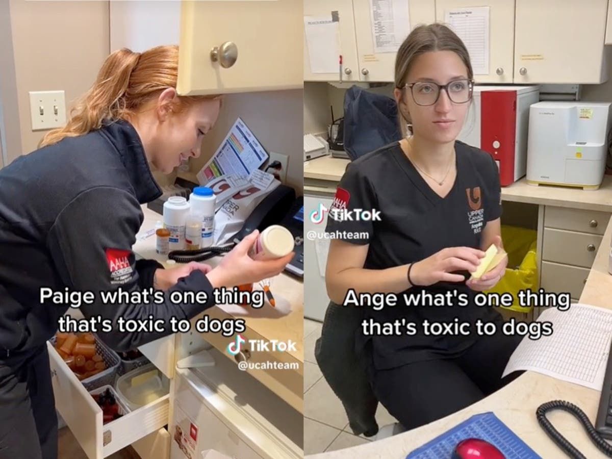 From garlic to grapes: Veterinarians shock pet owners…
