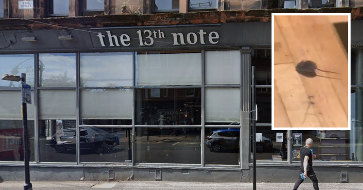 Mouse scurries around tables at Glasgow cafe before…