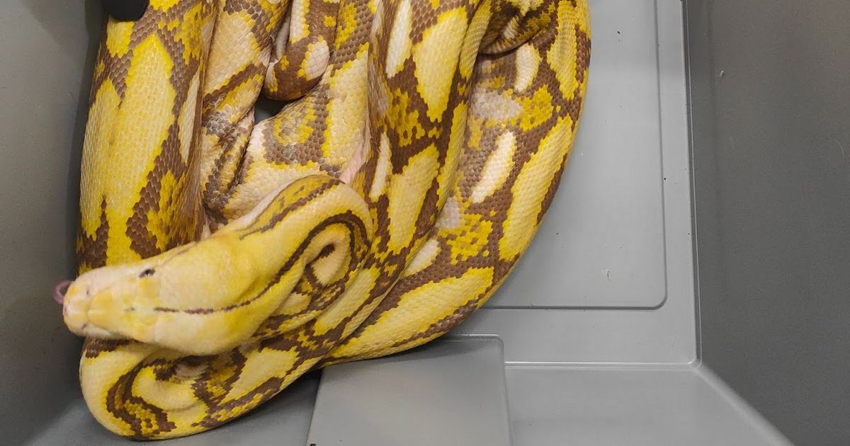 Disgusting garage 'smelt of death' where owner held…