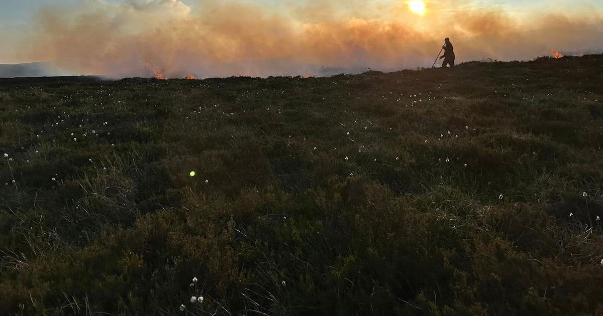 Six fire crews battle to put out five-mile Fintry…