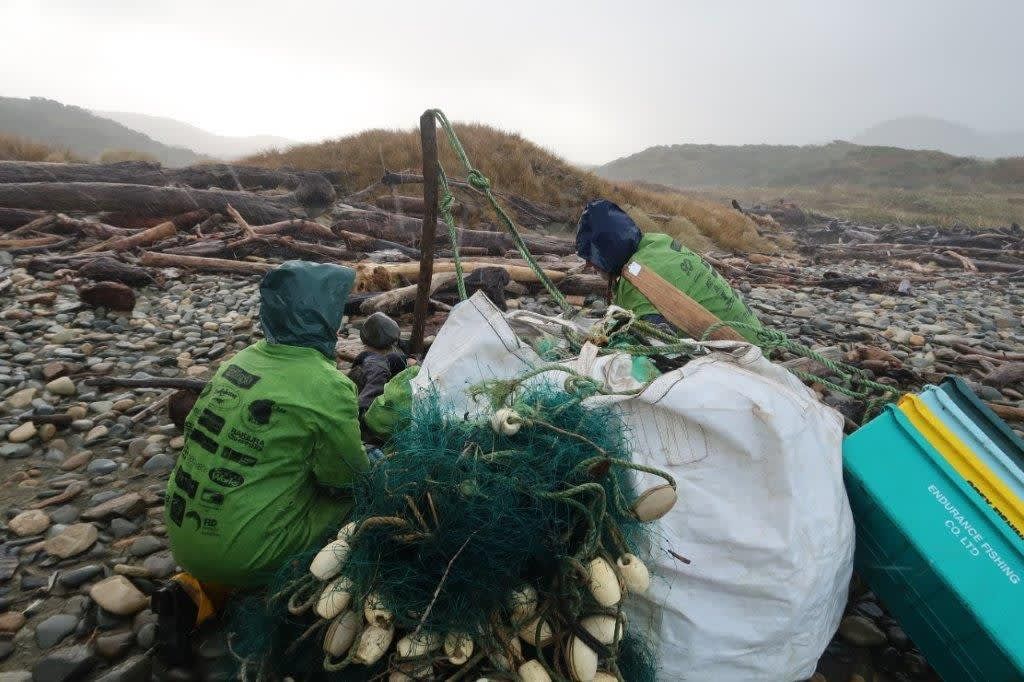 Rubbish work if you can get it on Stewart Island