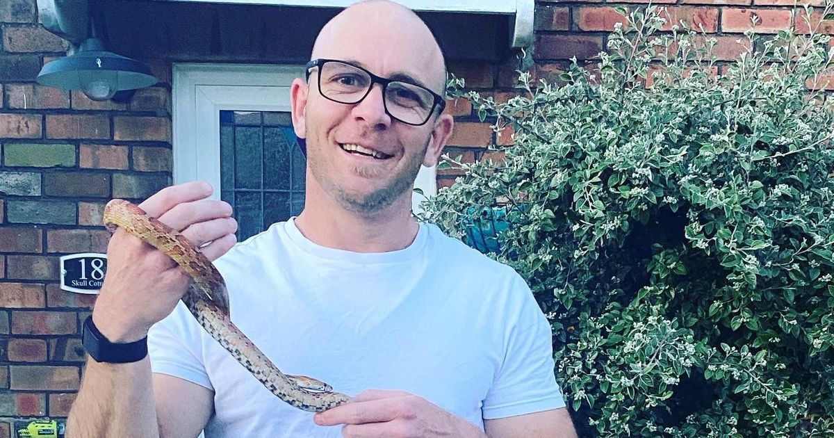 Stunned Bristol driver finds 2ft snake peeping through…