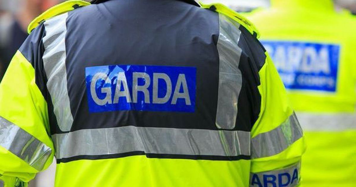 Two gardai 'feared for their lives' as stolen car…