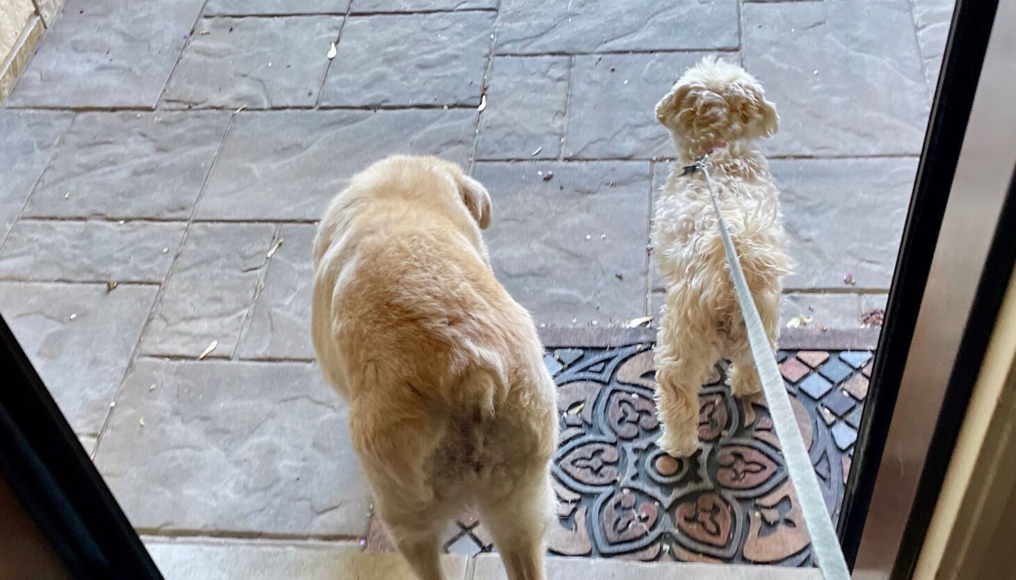 The One Gift We Cannot Give