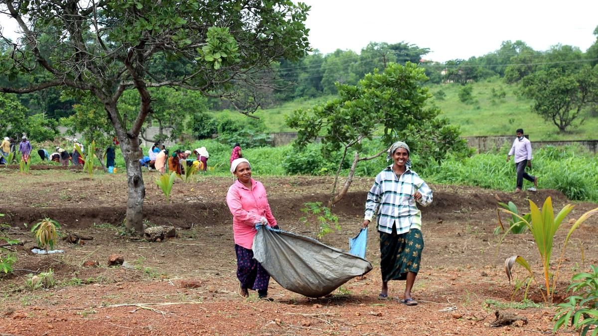 KSCDC to set up Poshaka Samrudhi farm at Kottiyam