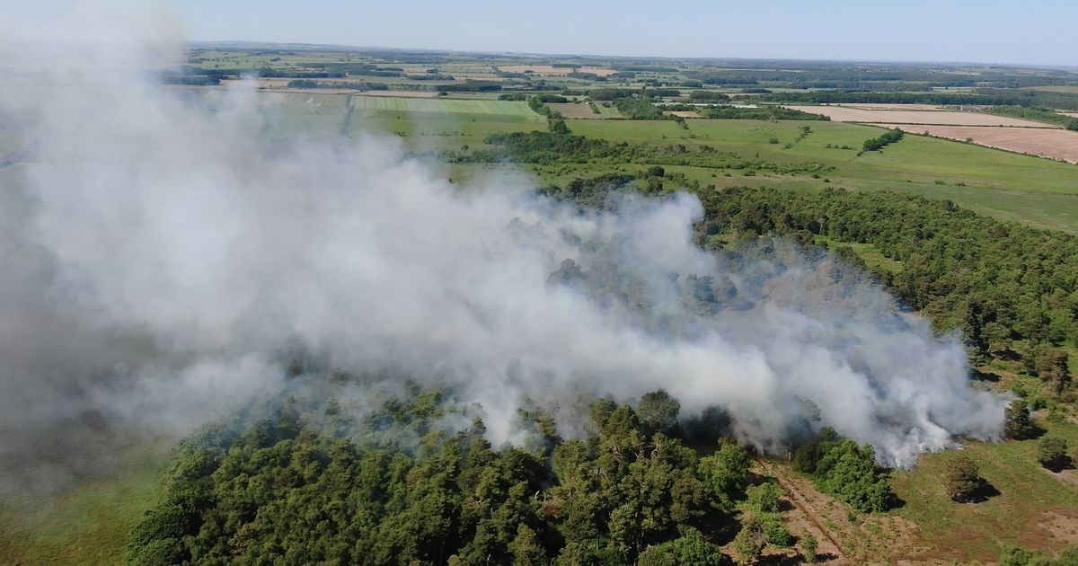 Wildfire 'size of five football pitches' still burning…