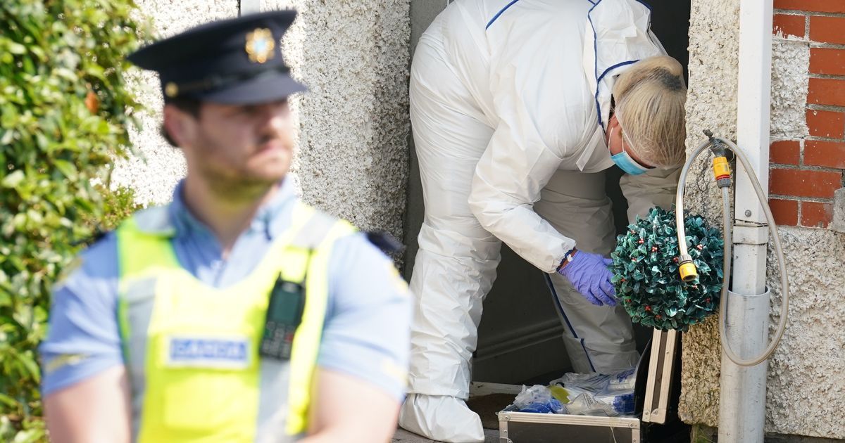 Murder accused 'dialled 999' after mum 'knifed to…