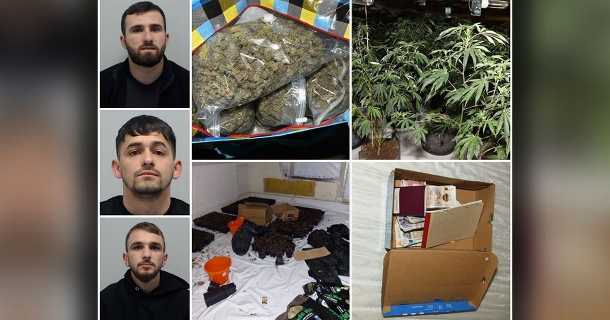 How a burglary exposed a criminal network in Greater…