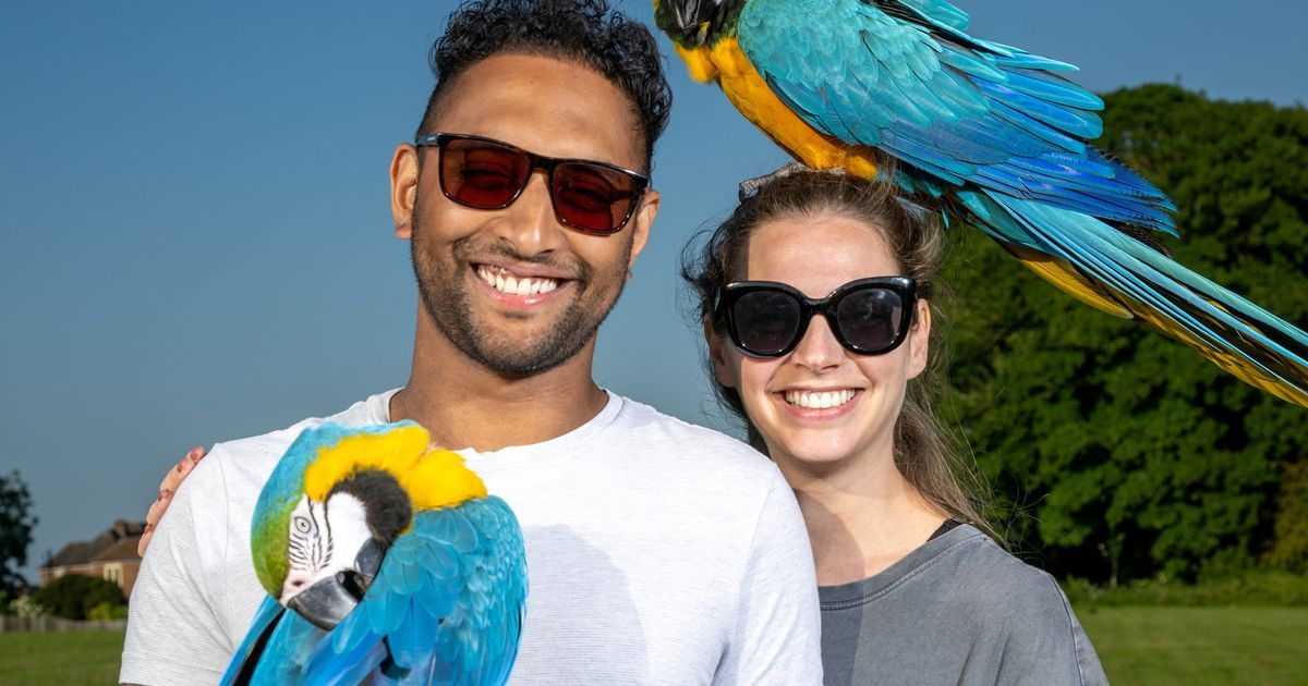 'Our giant parrots are messy pets but we love them