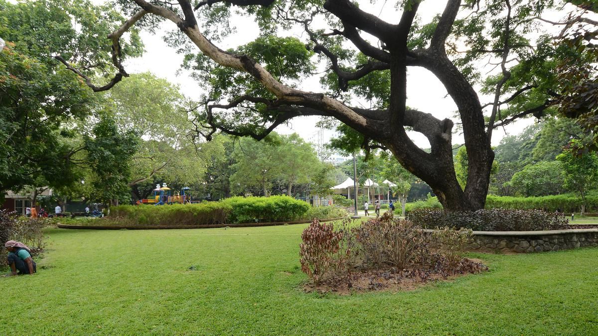 Plan is on to upgrade Semmozhi Poonga on par with…