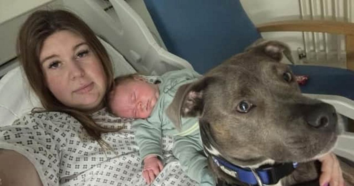 Woman with autism gives birth to son - with help of a…