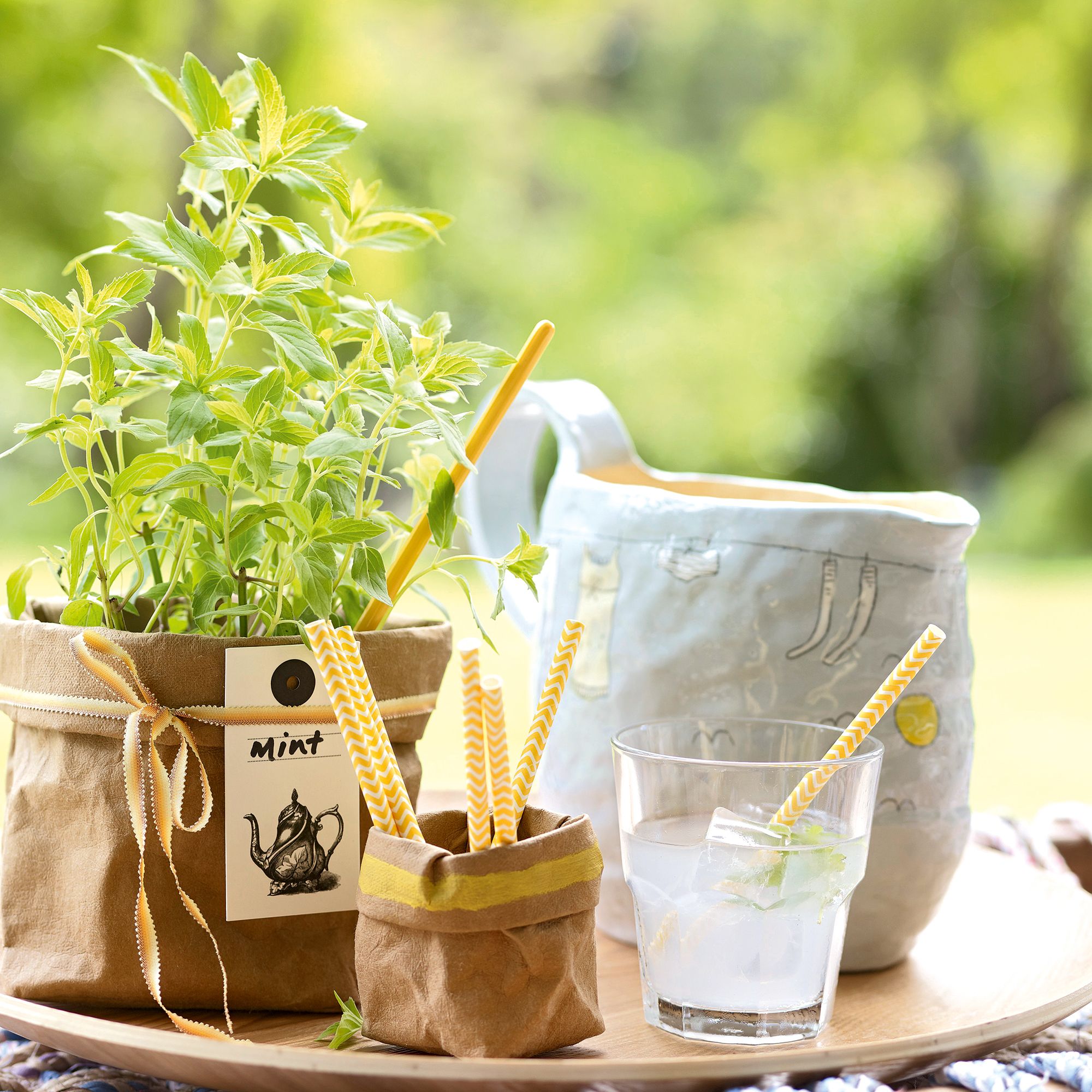 How to grow mint from cuttings - 7 easy steps to a…