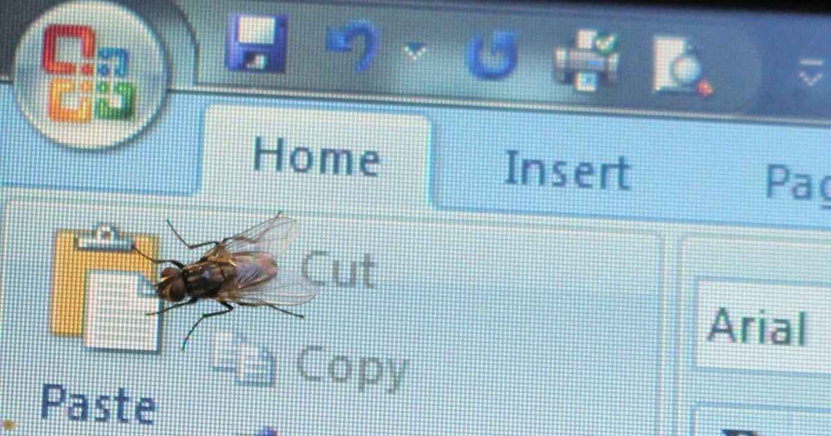 Expert on how to repel house flies - and keep them away