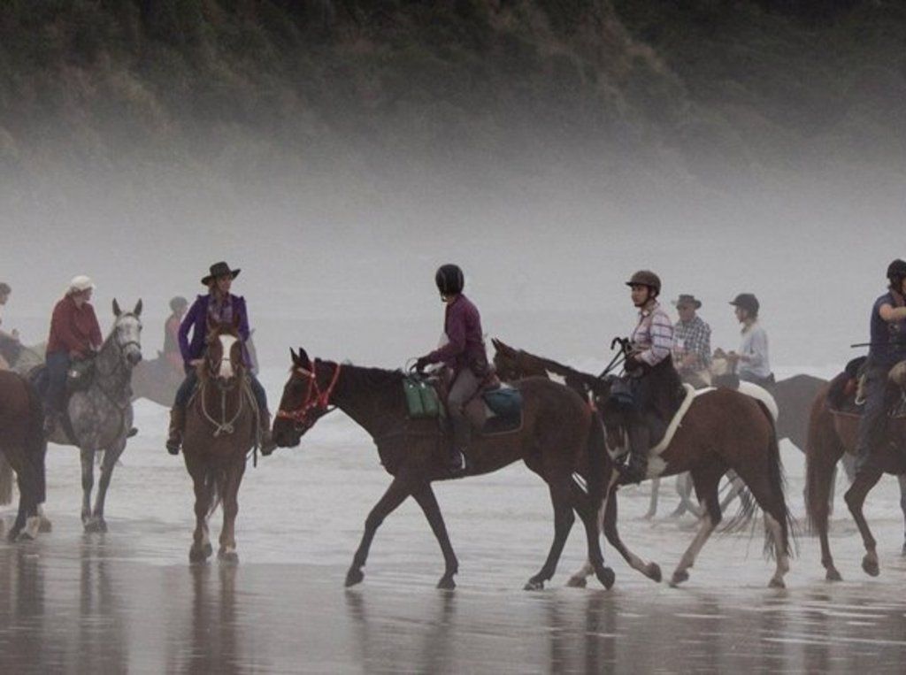 Best things to see and do in the Catlins' Owaka