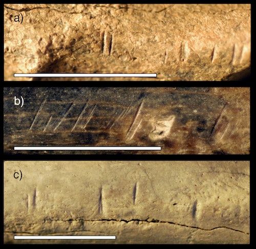 This Million-Year-Old Bone May Reveal an Ancient Human…
