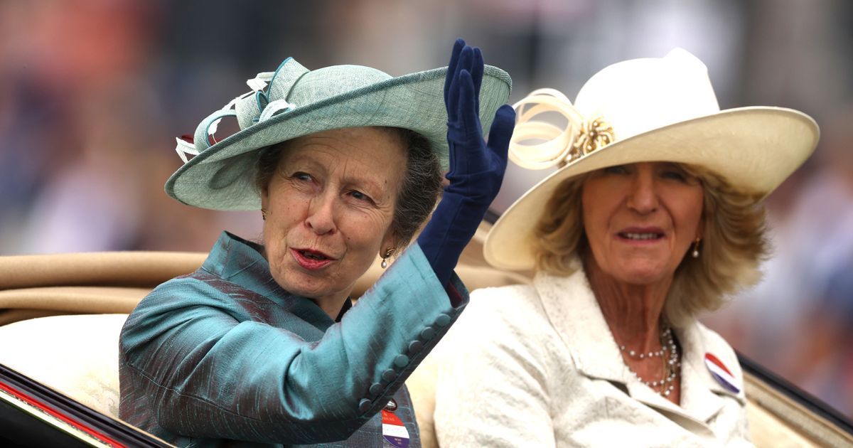 Princess Anne's three-word comeback to gunman who…