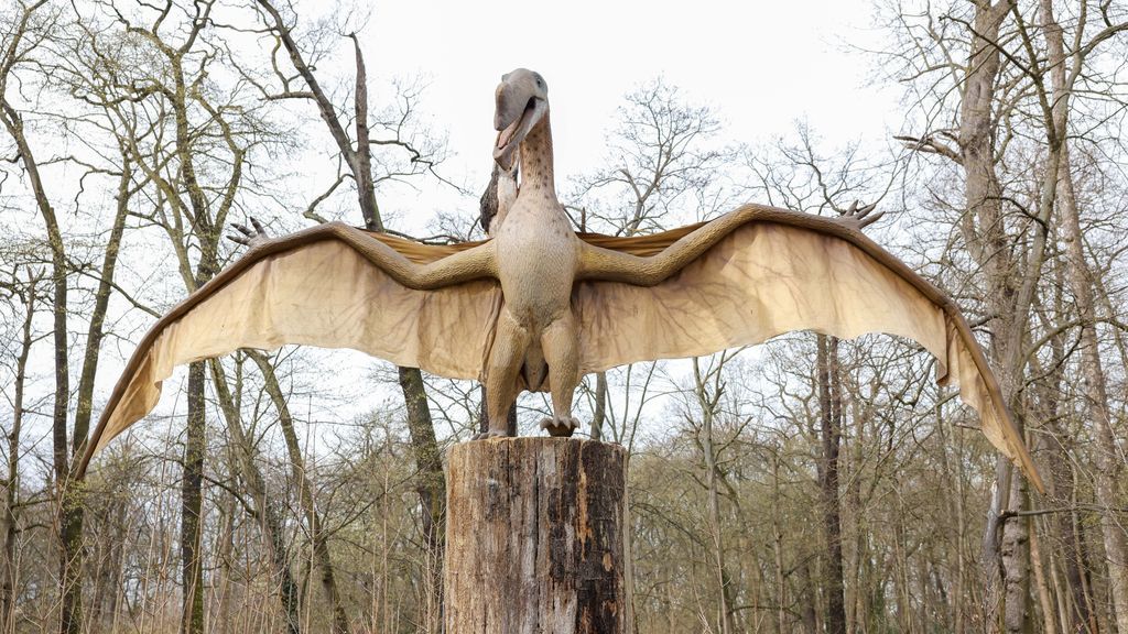 Pterosaurs Thrived In Antarctic Forests Over 100…