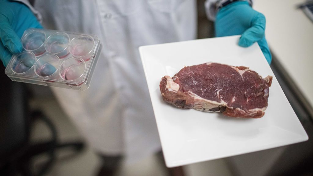 Lab-Grown Steak: The Future Of Sustainable Meat…