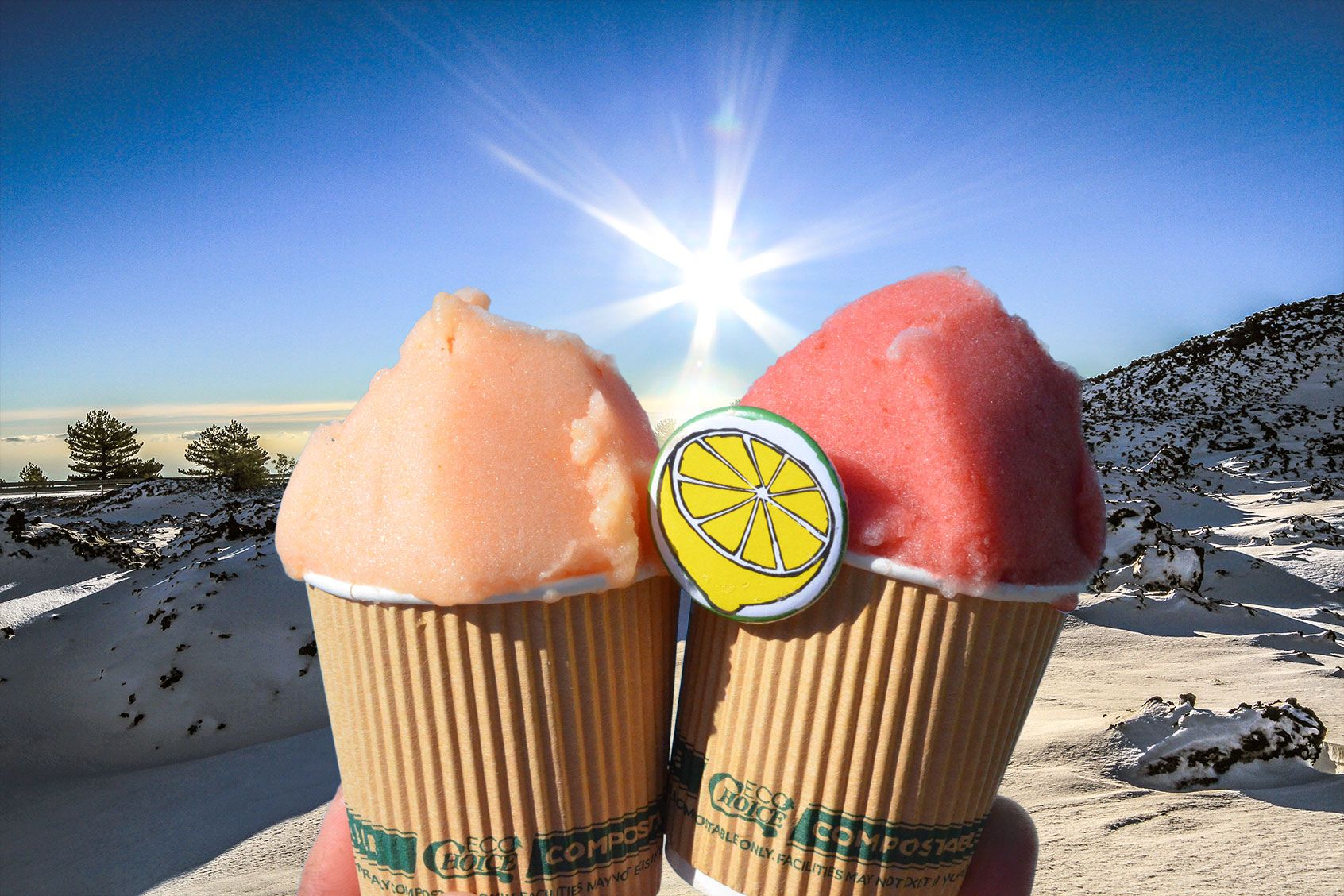 Who has the most authentic Italian ice?