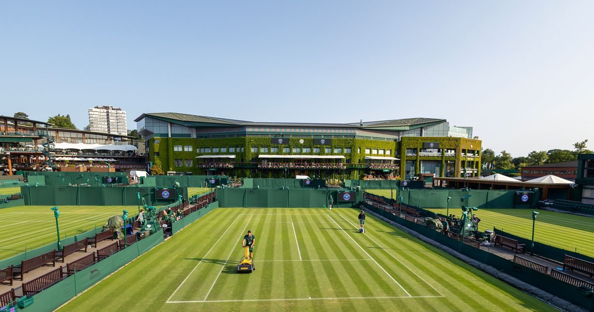 How to get a perfect lawn just like Wimbledon,…