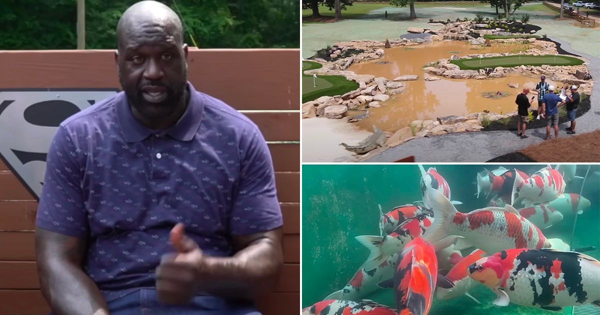 Shaquille O'Neal shows off new £393k pond at his…