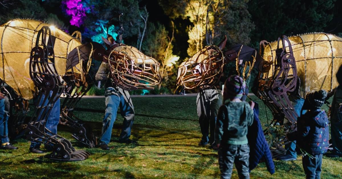 What to do during the 2023 winter holidays in Canberra