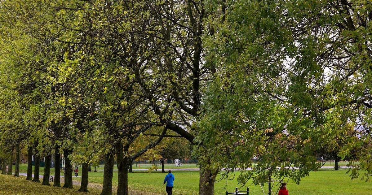 Belfast park ranked in the top 10 UK picnic spots