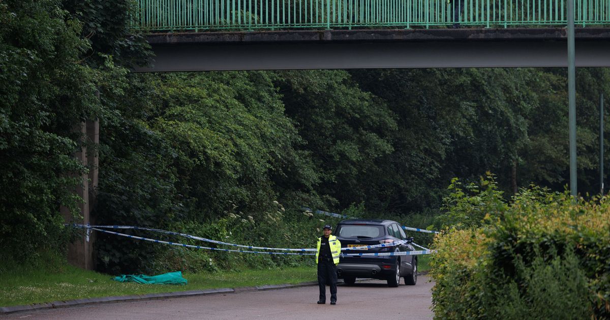 Man accused of murdering schoolboy Dylan Bragger…