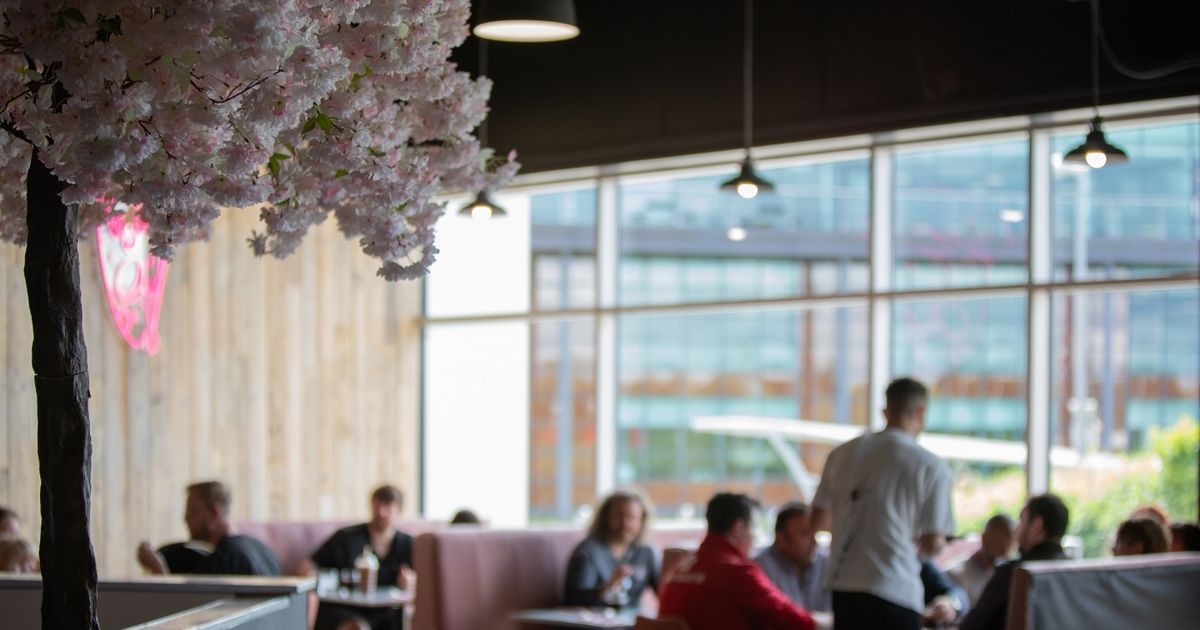 Italian restaurant Circo creates 20 jobs after opening…