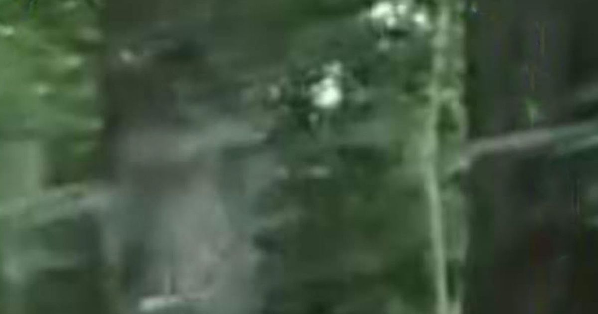 Ghost of girl who drowned in disaster 'spotted…