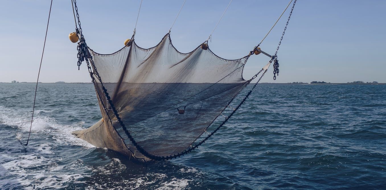 Seabed trawling's impact on the climate may be wildly…