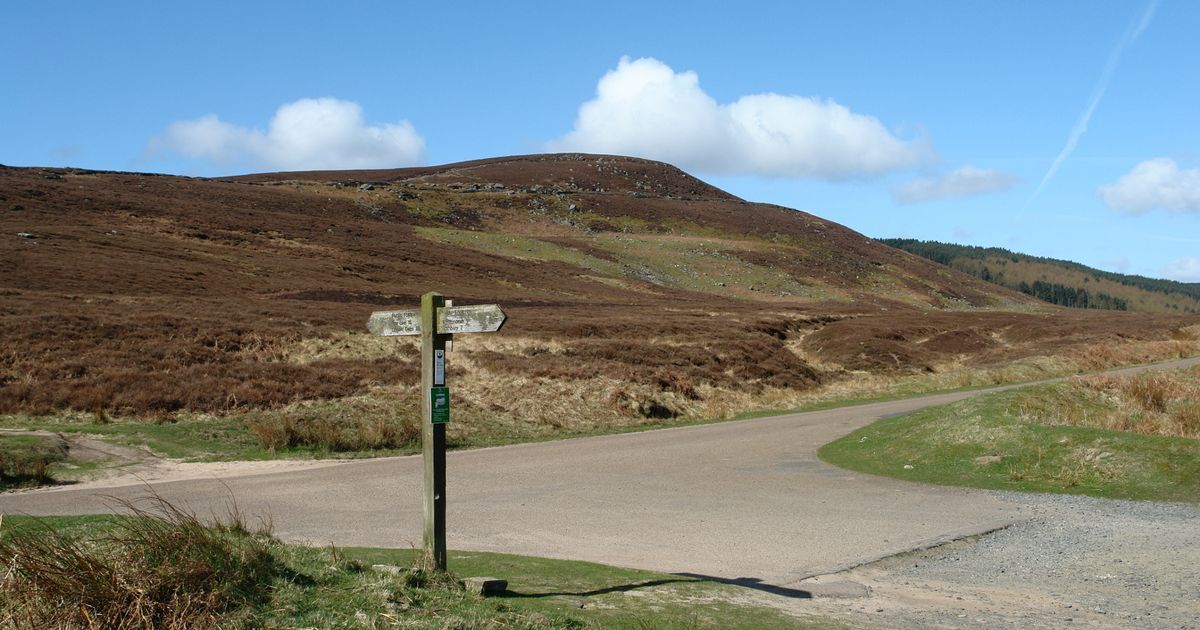 Rothbury Estate including beloved Simonside Hills is…