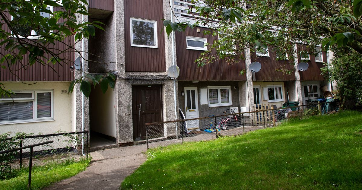 Teen girl rushed to hospital after being assaulted by…