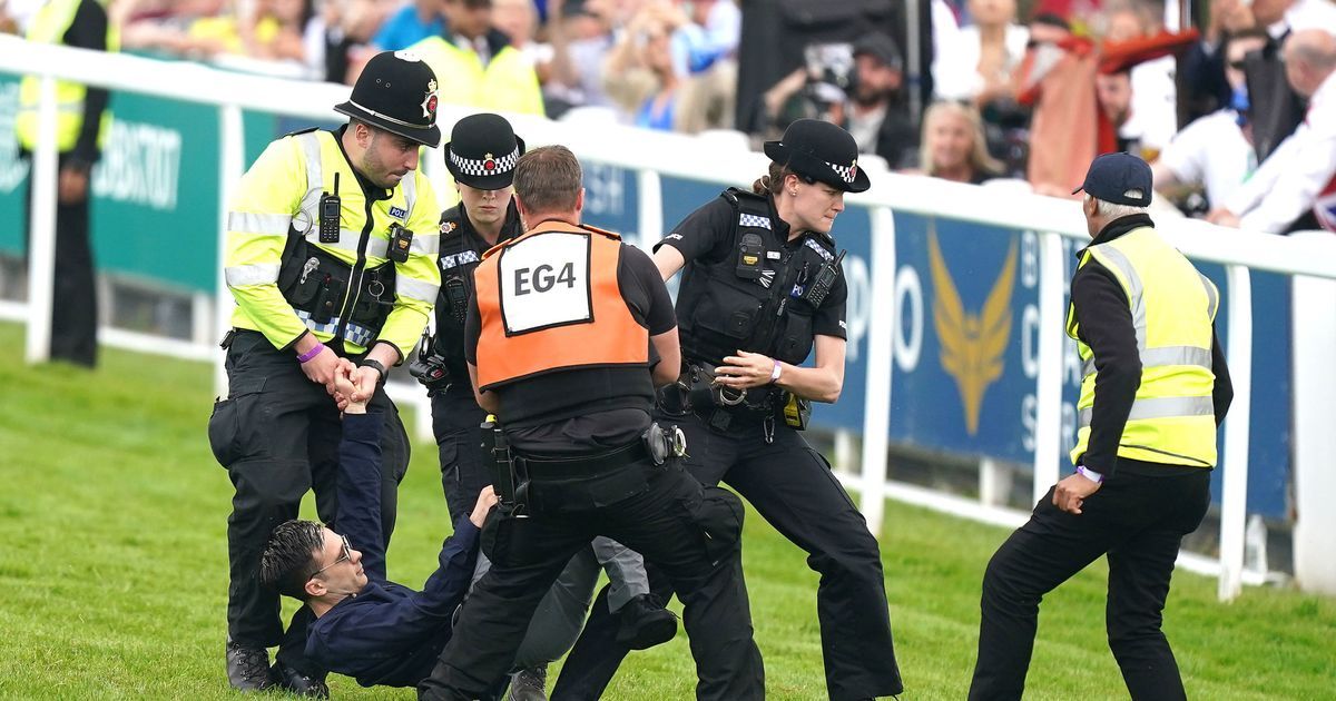 Animal rights activist who invaded course during the…