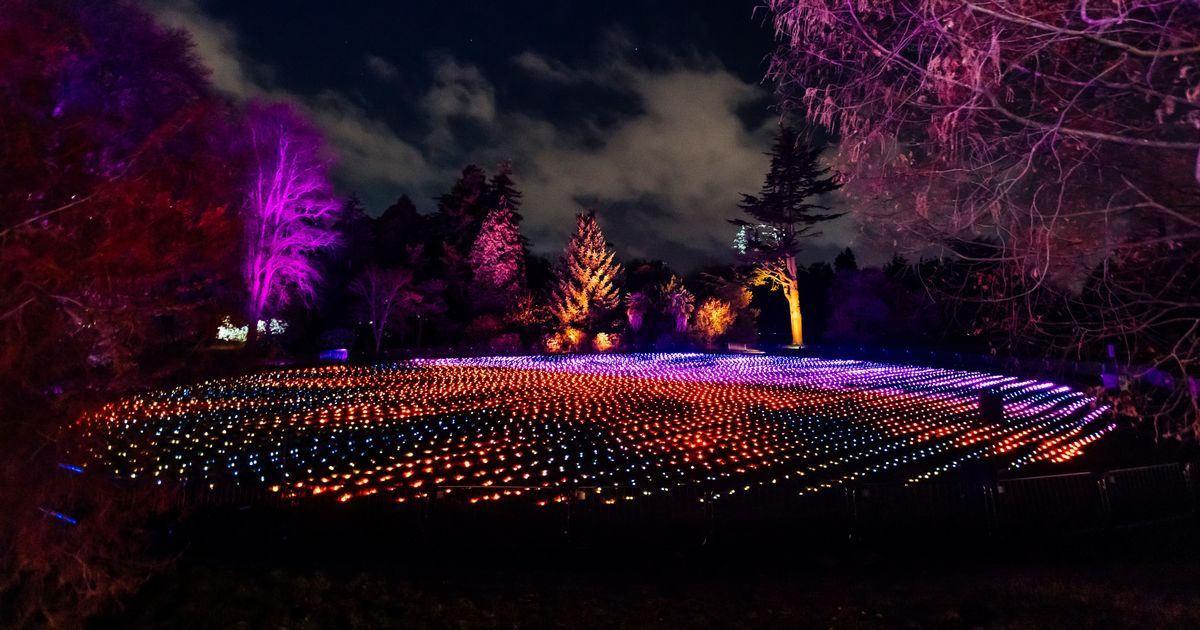 Northern Lights ticket details for Christmas run of…