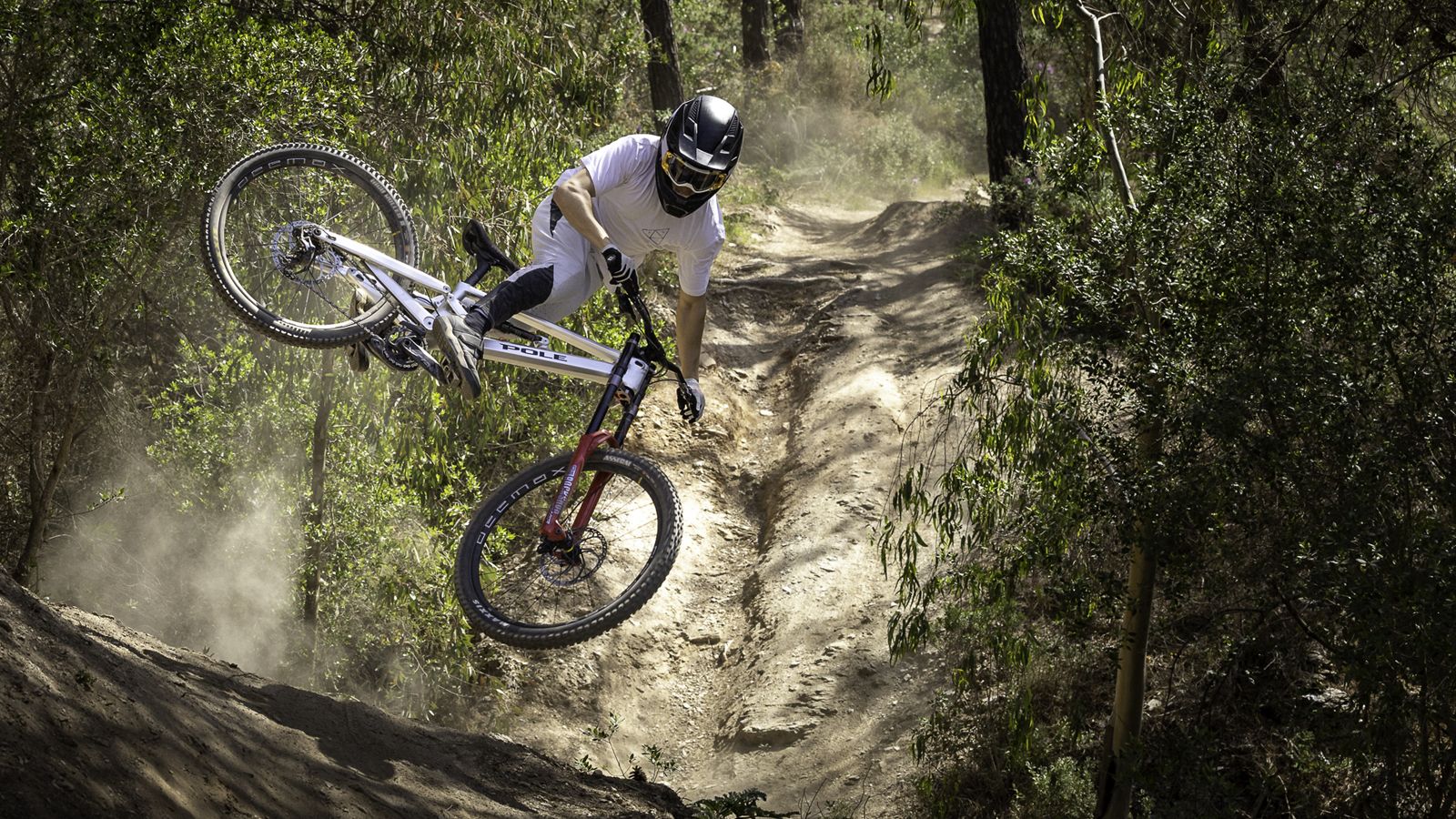 Pole Bicycles marks their tenth anniversary with the…