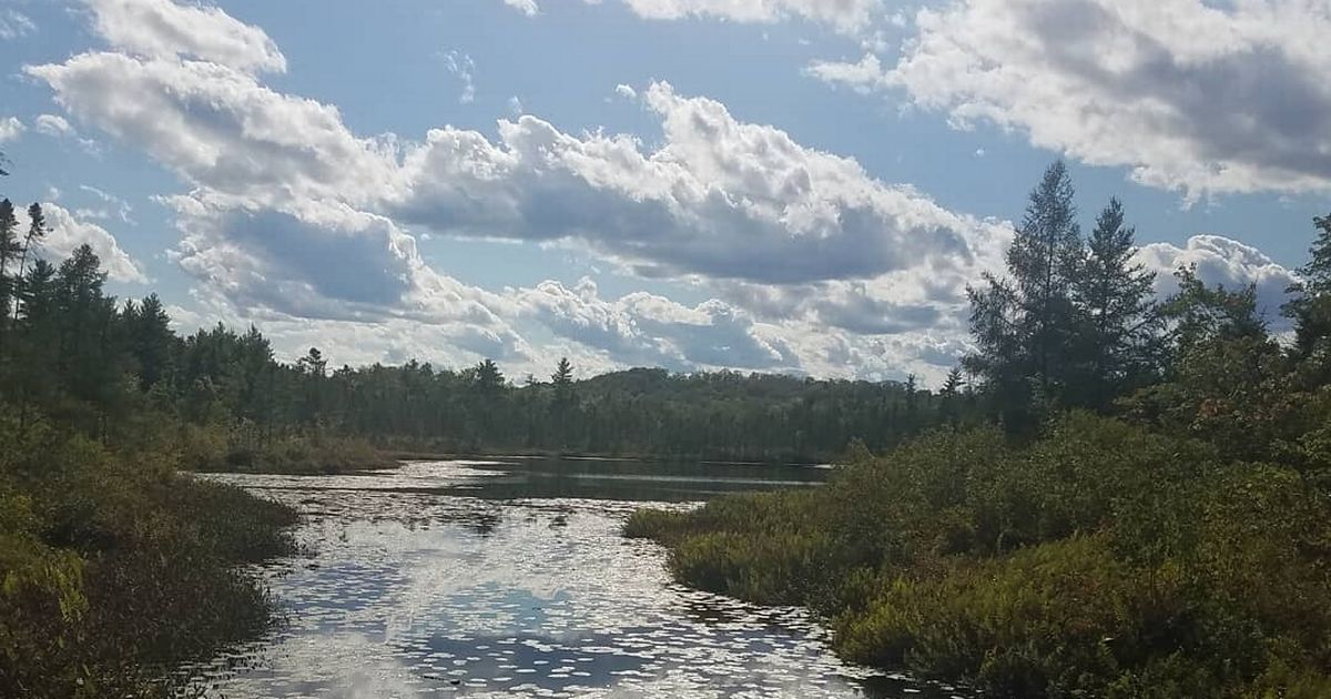 The US town that has only one resident - and her…