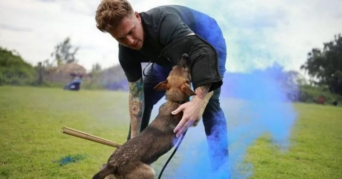 Expert warns that a fifth breed of dog could face a…