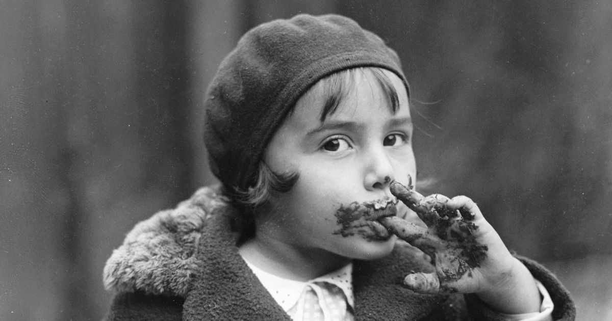 Lost chocolate bars and flavours Scousers want to see…