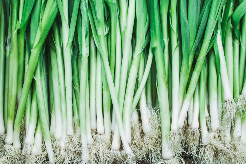 Lots of shallots: why do spring onions come in such…