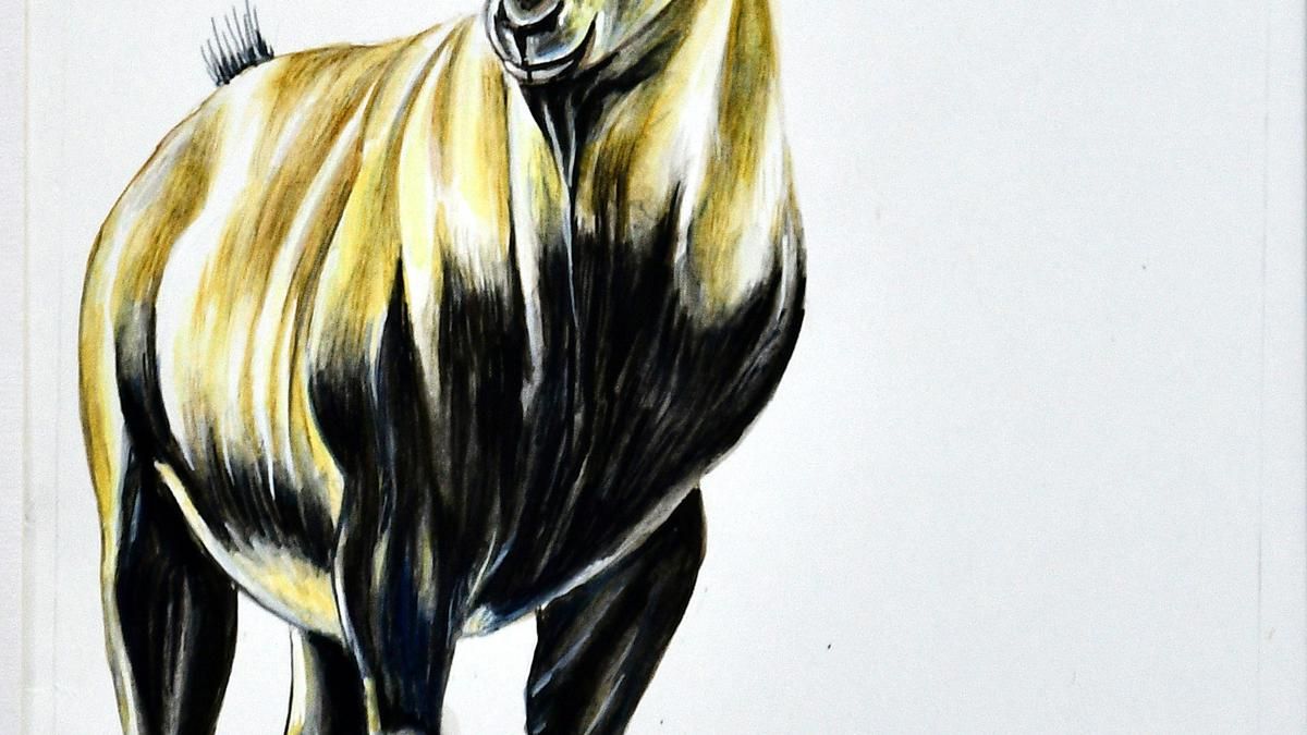 Endemic birds of the Western Ghats in art