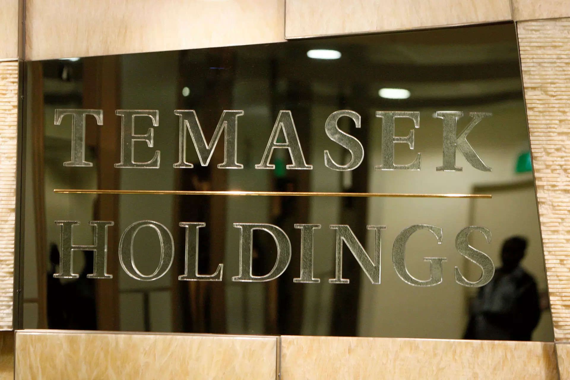 Temasek seeks partnerships to deploy $5 billion a year…