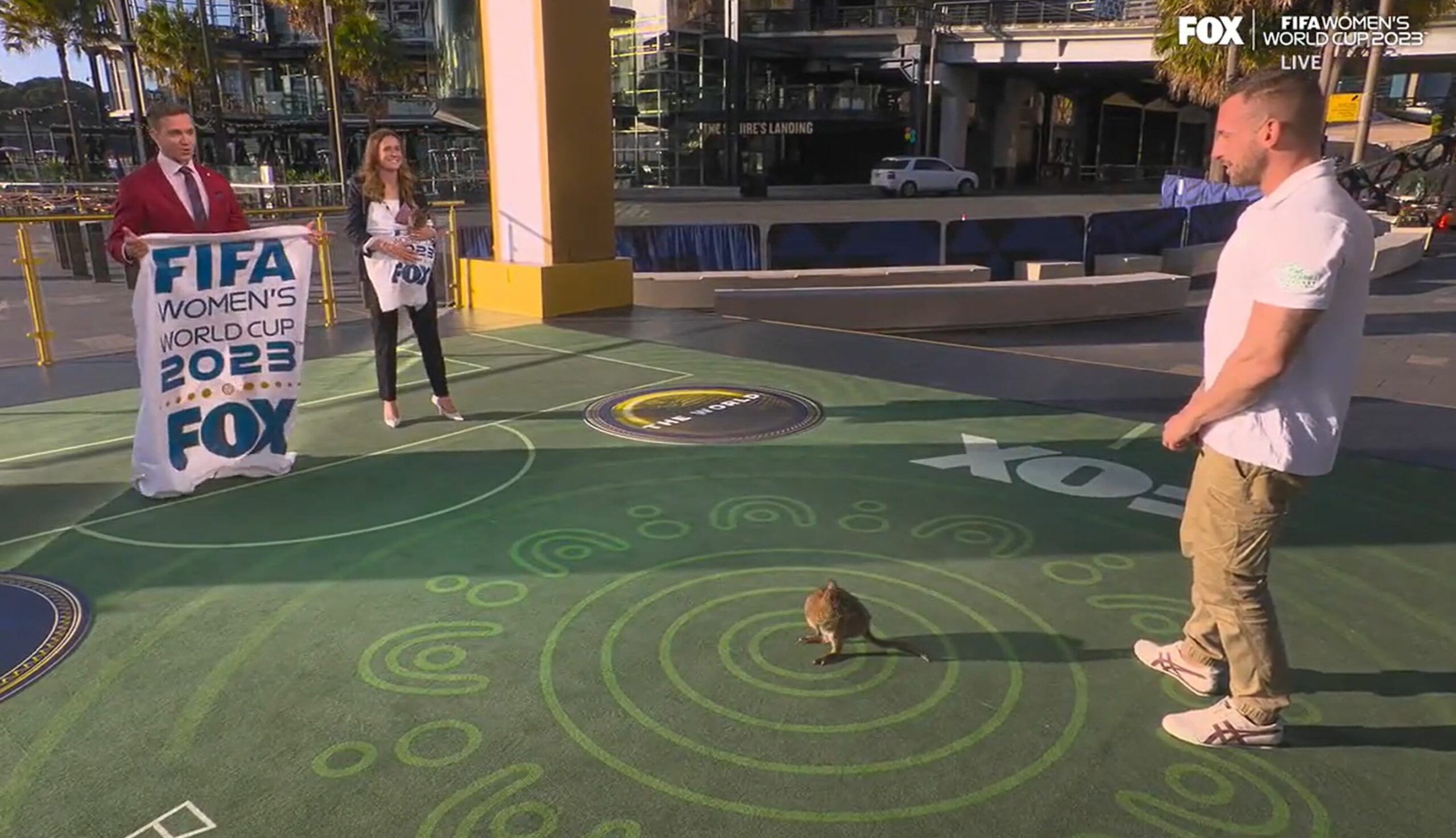 FOX asked a marsupial to pick a World Cup winner, and…